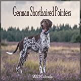 German Shorthaired Pointer Puppies and Dogs for sale near you
