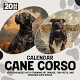 Bellicose K9, Cane Corso Stud in East Peoria, Illinois