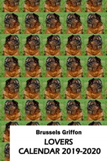Brussels Griffon Breeders near you (Page 1)