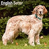 English Setter Breeders near you