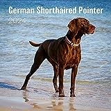 German Shorthaired Pointer Puppies and Dogs for sale near you