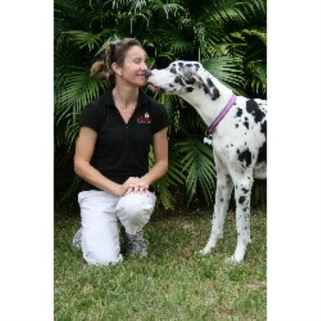 The Dogsmith, Palm Beach County Jupiter, Florida 33458